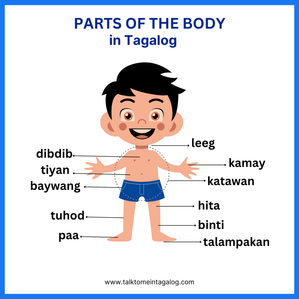 Parts of the Body in Tagalog | Learn Filipino for Free