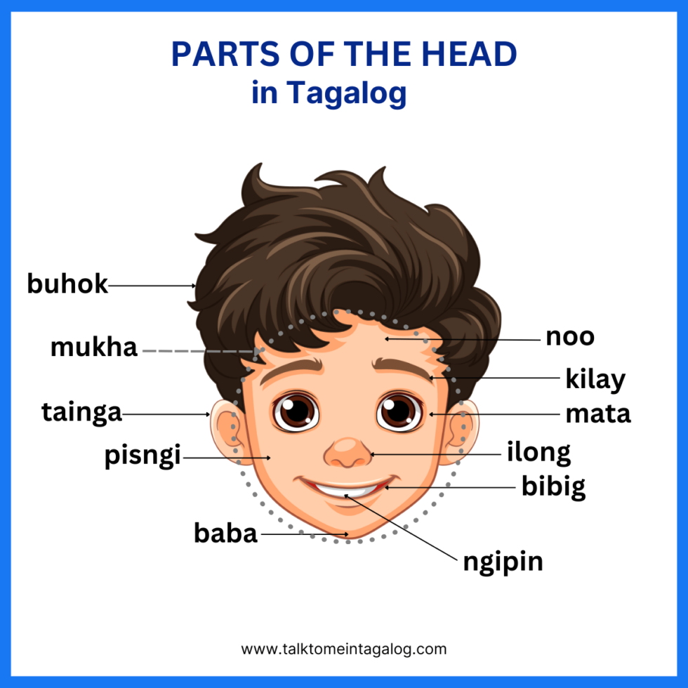 Parts of the Head in Tagalog | Filipino Vocabulary for Beginners