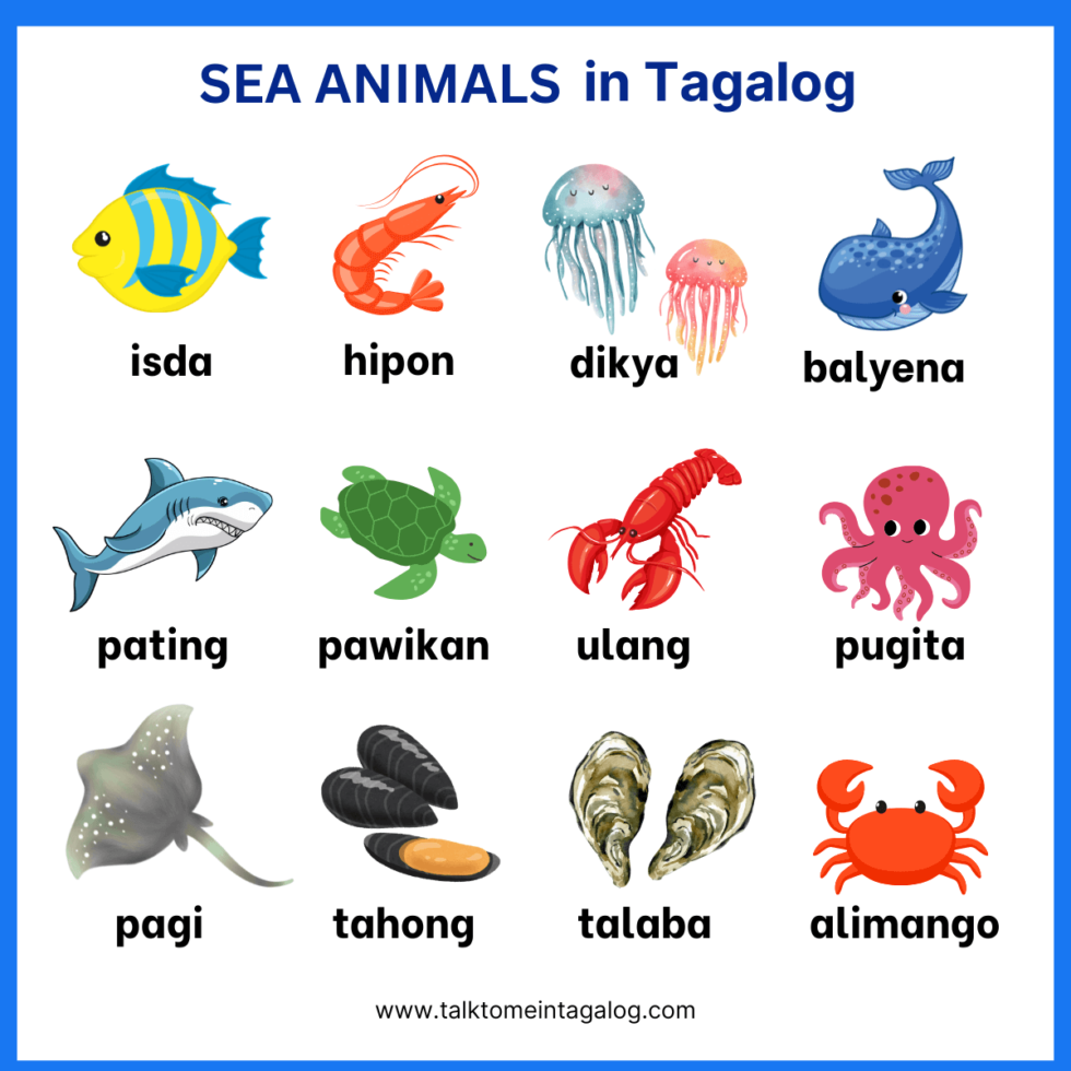 Sea Animals in Tagalog | Filipino Lesson for Beginners