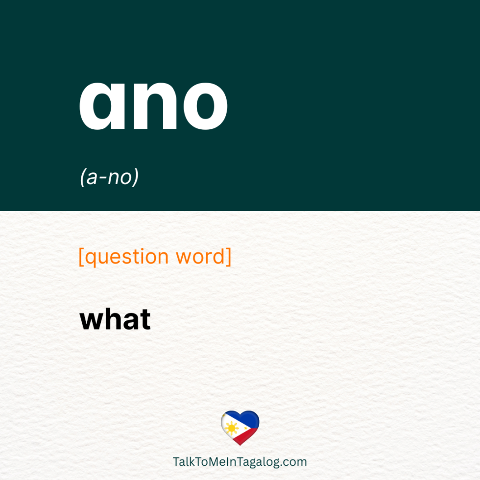 How to Say WHAT in Tagalog | ALIN in English