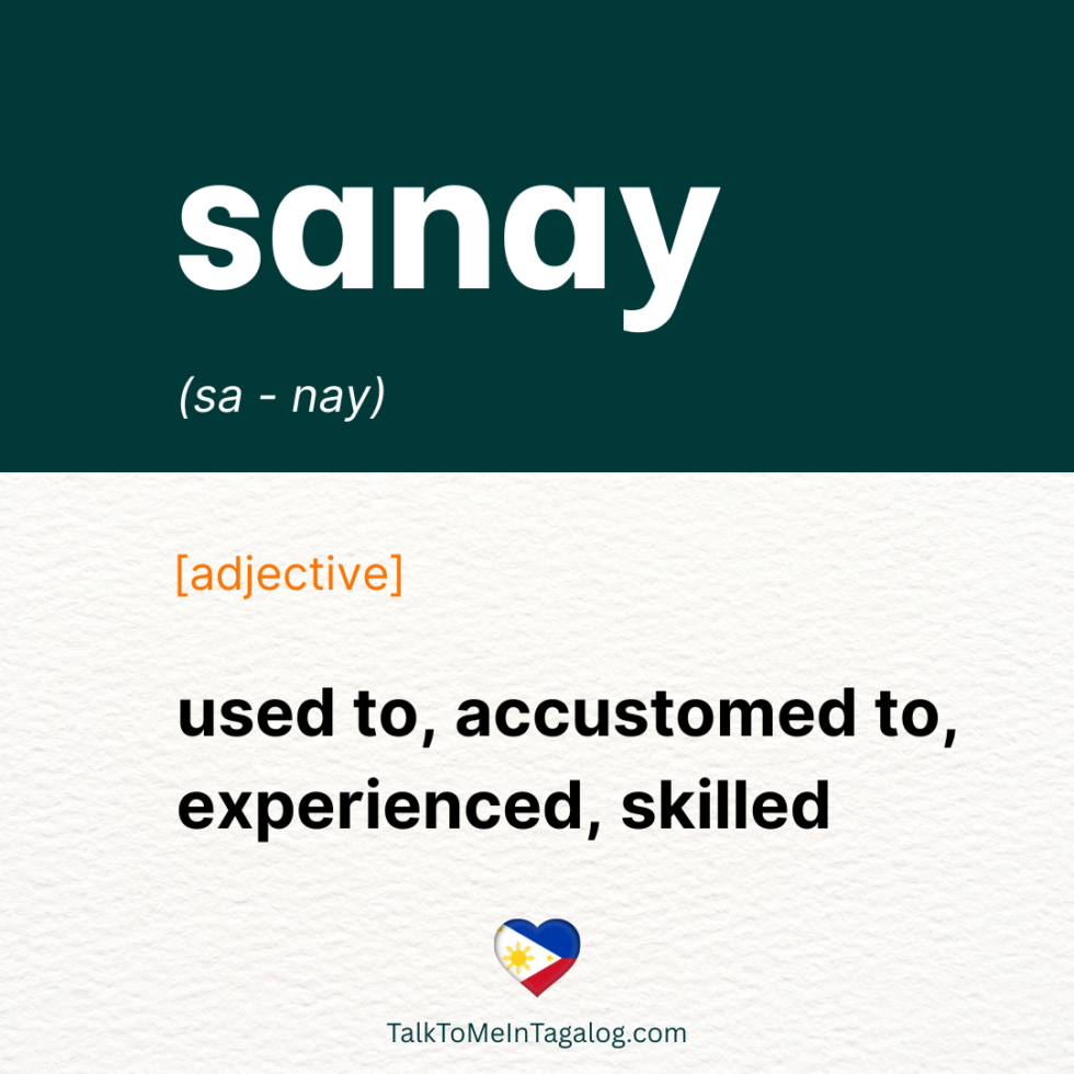 How to Say "Used to" in Tagalog | SANAY in English