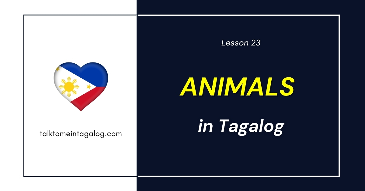 Names of Animals in Tagalog | Filipino Vocabulary for Beginners